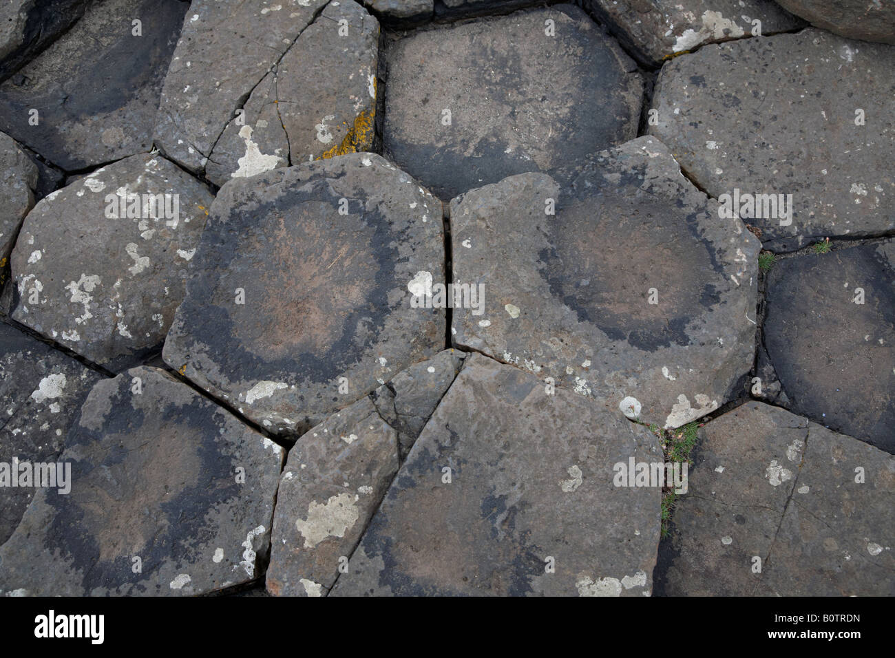 Roche volcanique basaltique hexagonale Banque de photographies et d ...