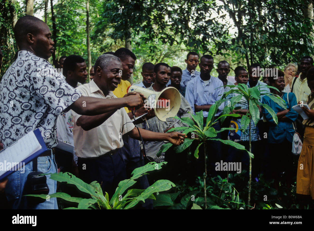 Abidjan, Côte d'Ivoire, Afrique de l'Ouest. Le botaniste Dr Ake Assi ...