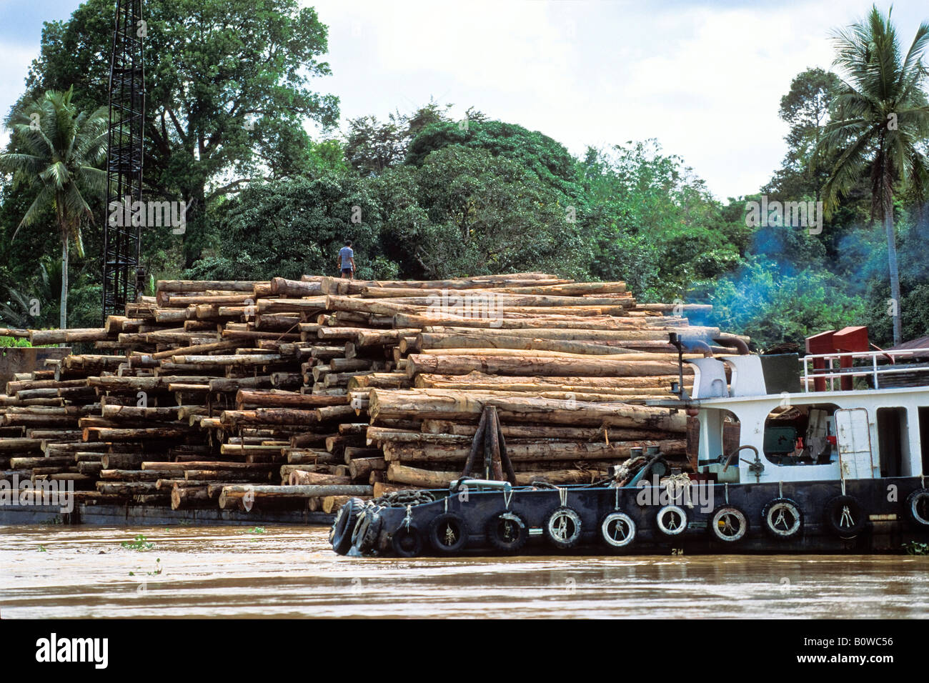 Deforestation foret tropicale Banque de photographies et d’images à ...