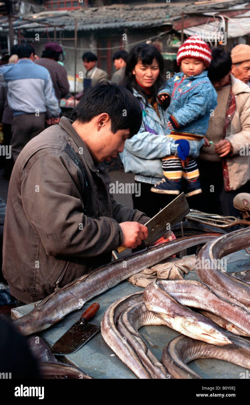 Une vieille vendeuse de poisson Banque de photographies et d’images à ...