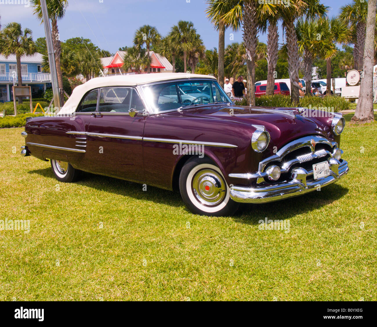 Marron packard Banque de photographies et d’images à haute résolution ...