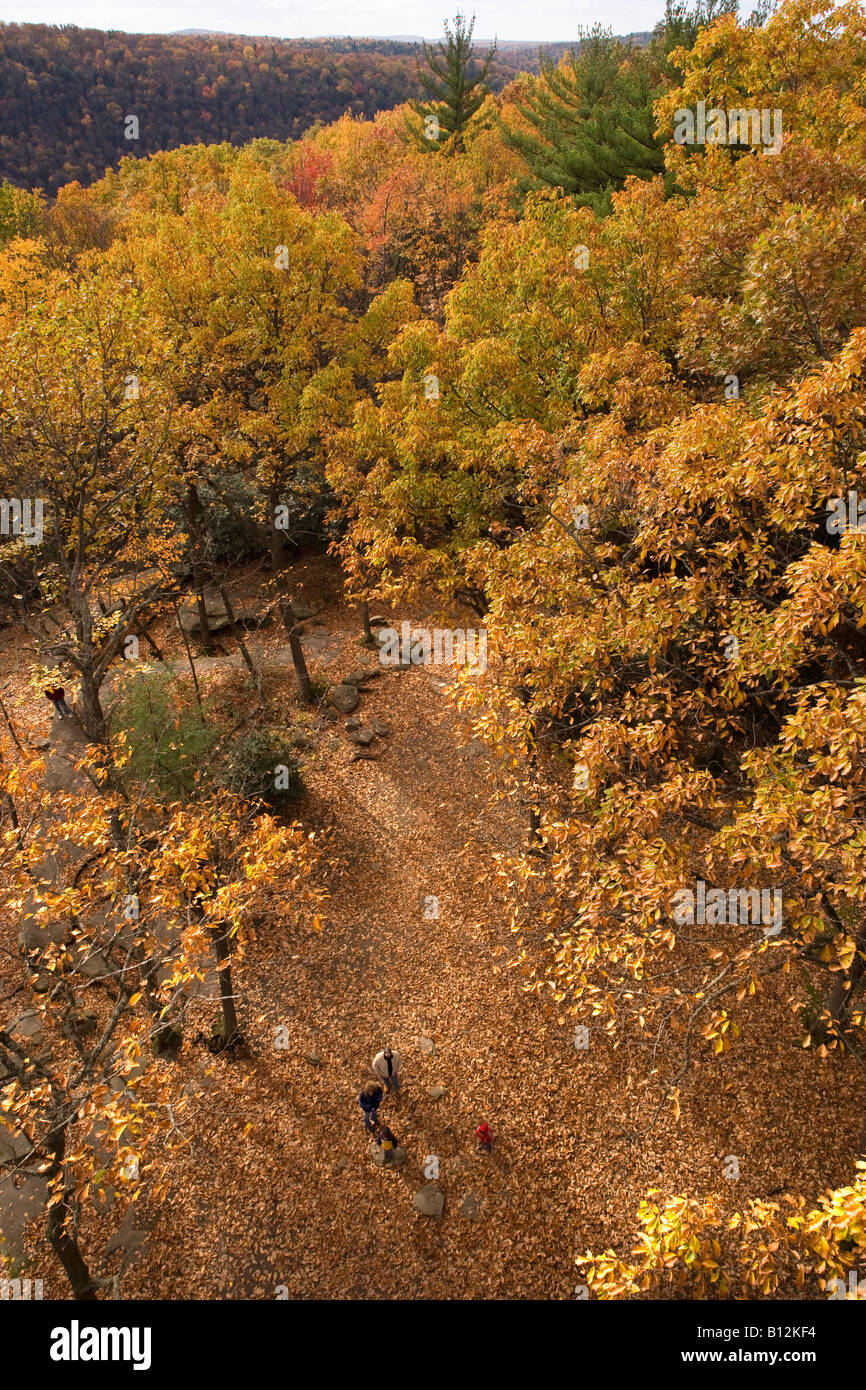 Forêt domaniale de seneca Banque de photographies et d’images à haute ...