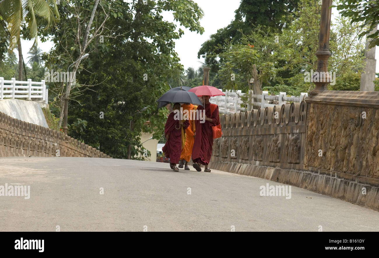 Buddhist temple bentota sri lanka Banque de photographies et d’images à ...