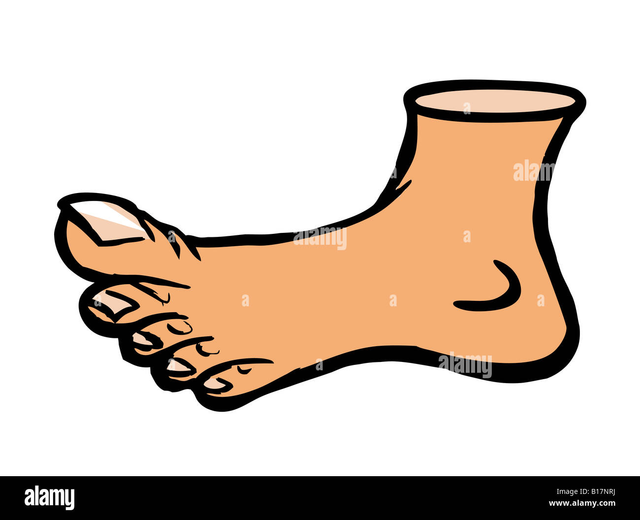 Cartoon illustration d'un pied Photo Stock - Alamy