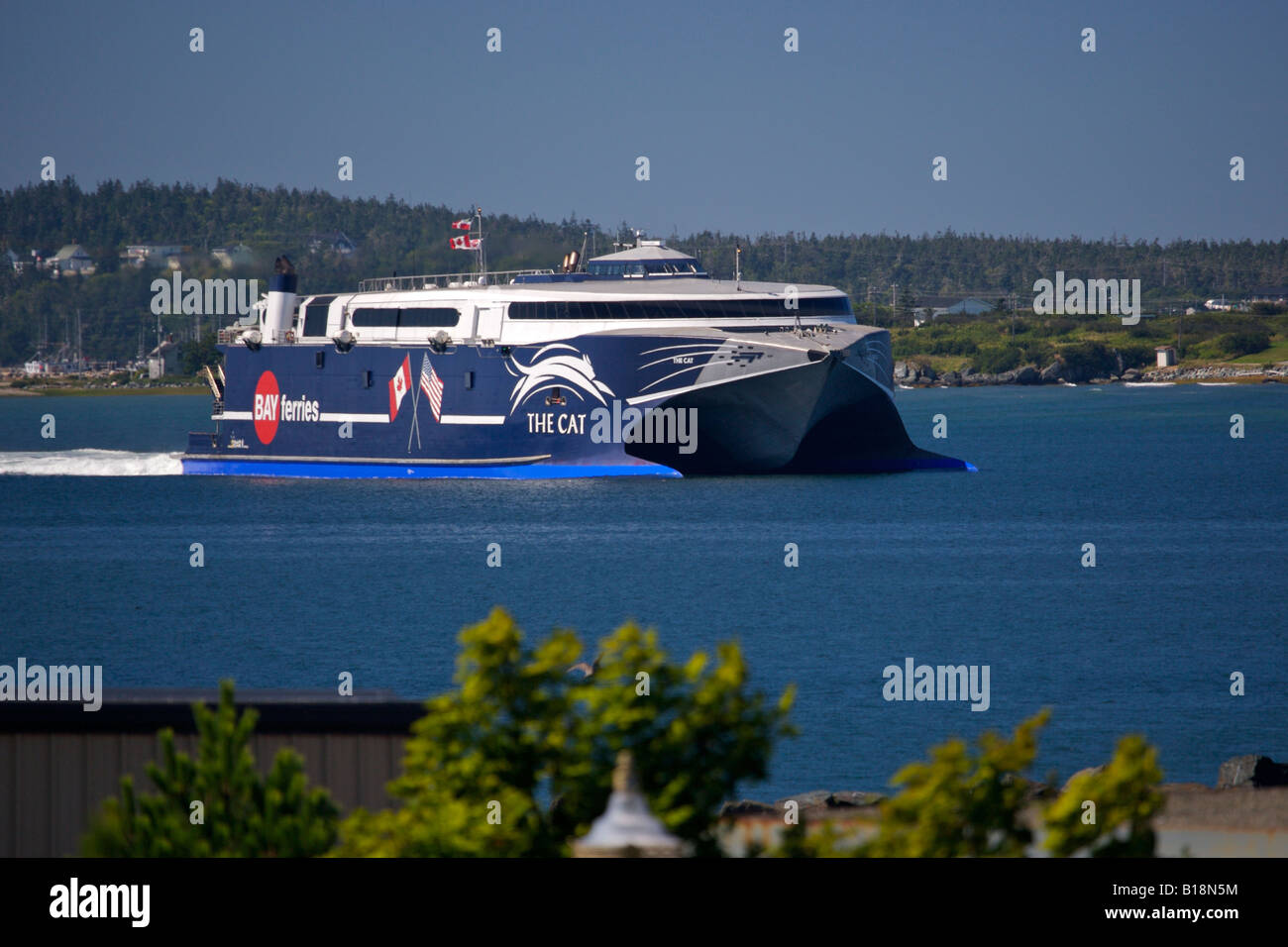 Ferries cat Banque de photographies et d’images à haute résolution - Alamy