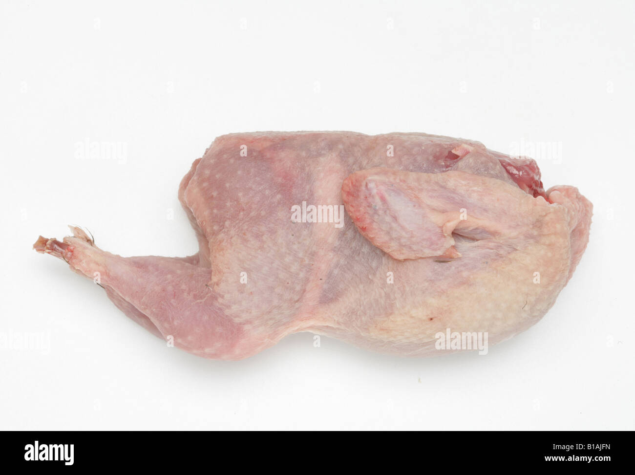 Viande de caille fraîche Banque d'images détourées - Alamy