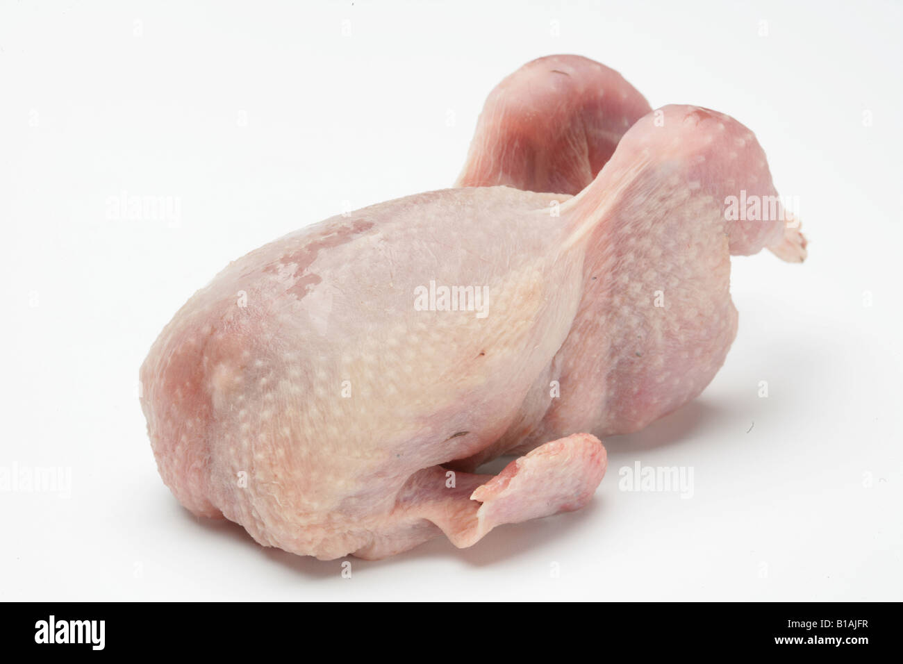 Viande de caille fraîche Banque d'images détourées - Alamy