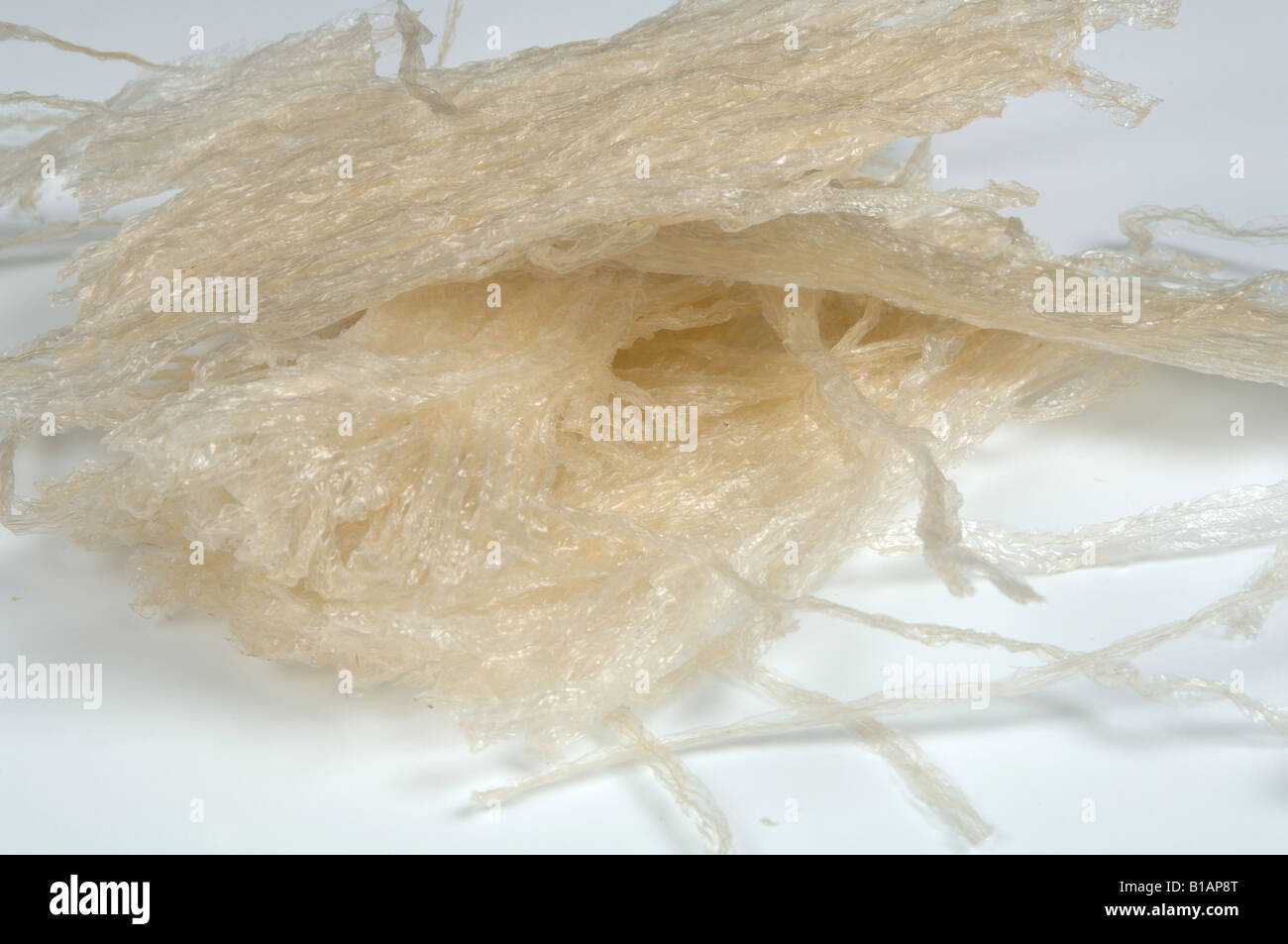 Agar agar seaweeds Banque de photographies et d’images à haute ...