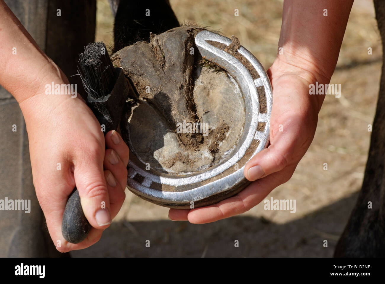 Sabot propre Banque de photographies et d’images à haute résolution - Alamy