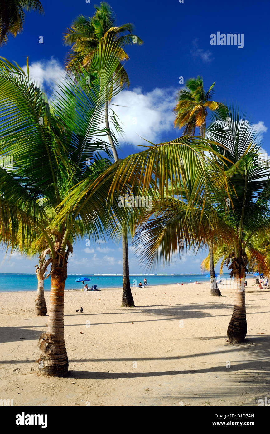 Plage porto rico Banque de photographies et d’images à haute résolution ...