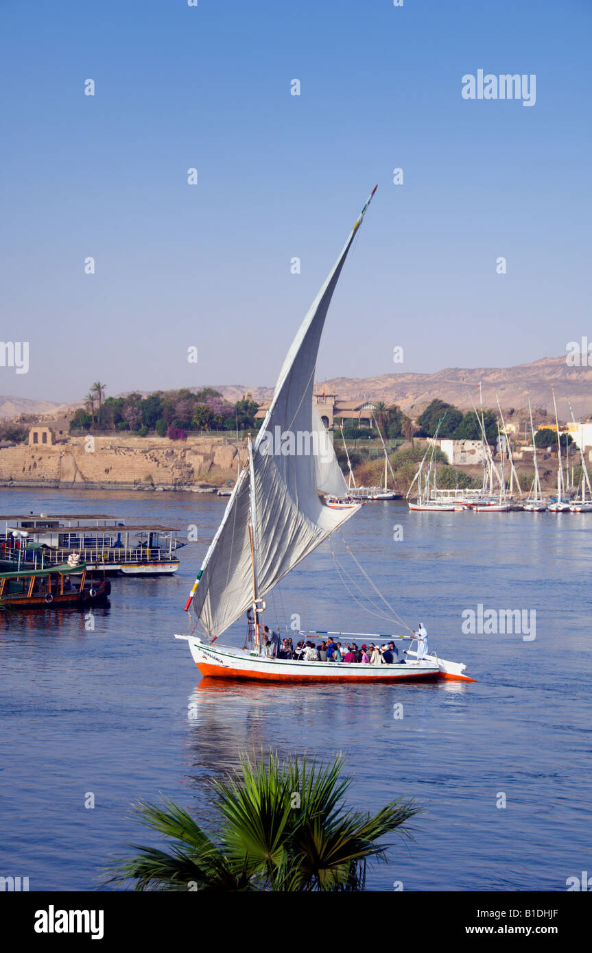 Un navire à voile de la felouque sur le Nil à Assouan Egypte Photo ...