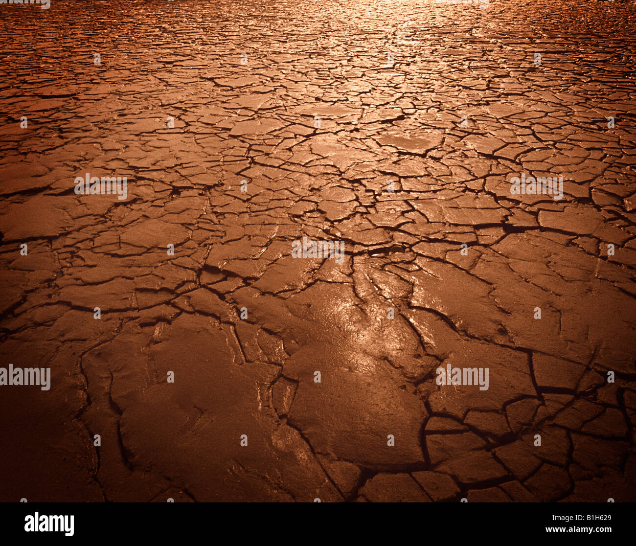 La sécheresse dans le sol fissuré Photo Stock - Alamy
