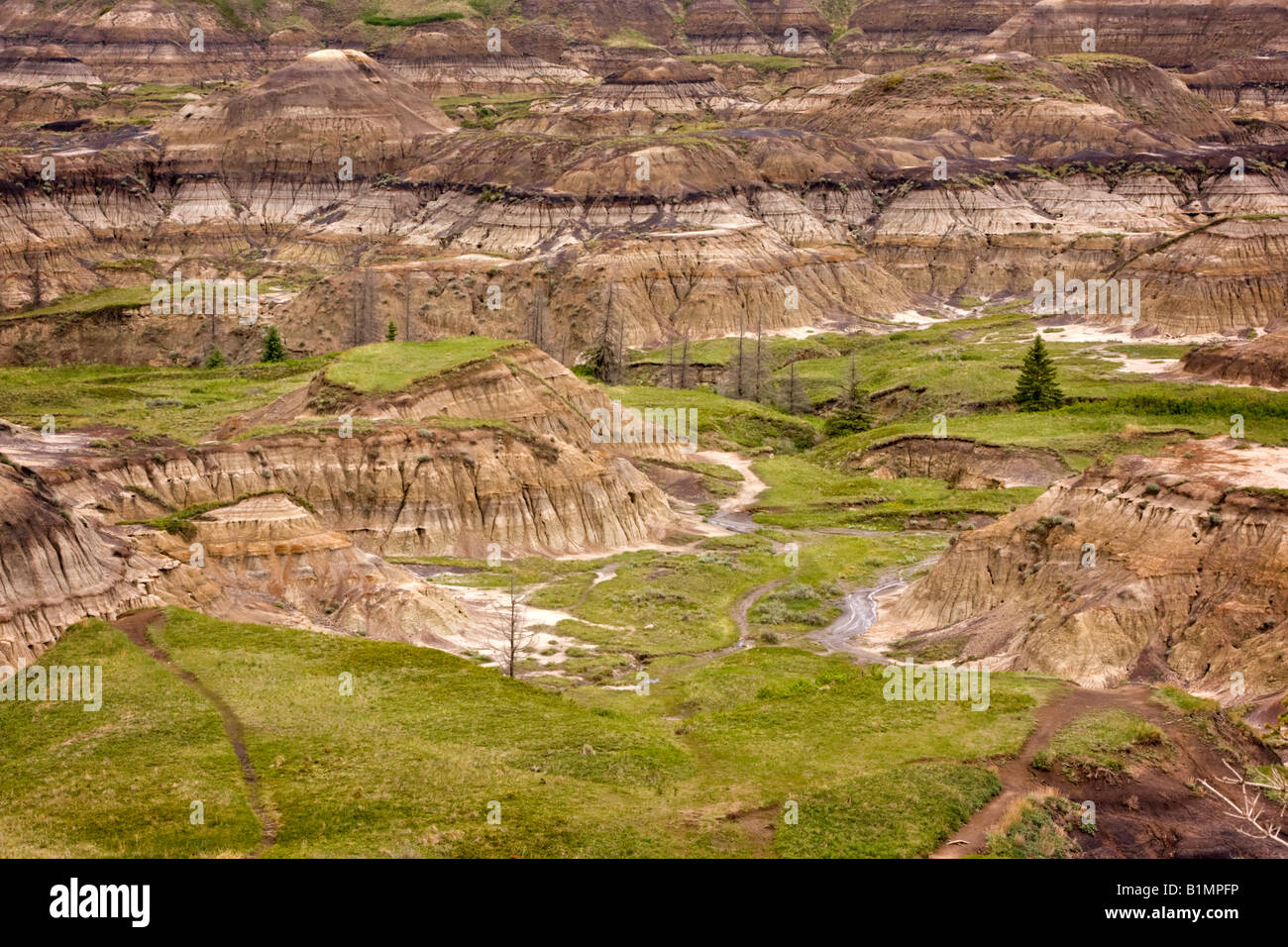 Alberta badlands Banque de photographies et d’images à haute résolution ...