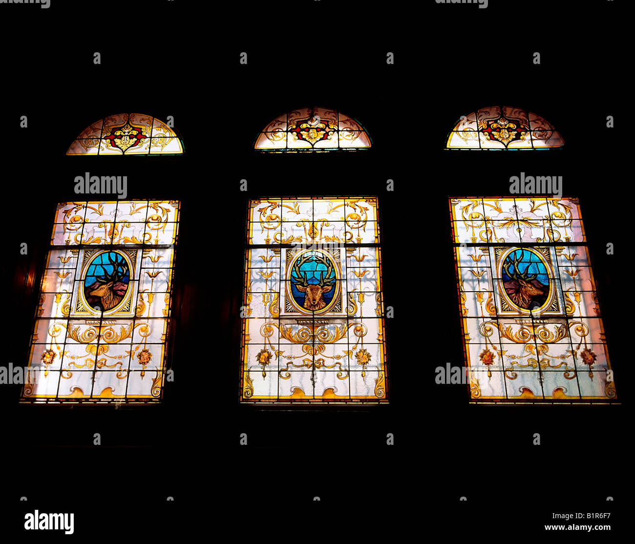Stag's head pub dublin Banque de photographies et d’images à haute ...