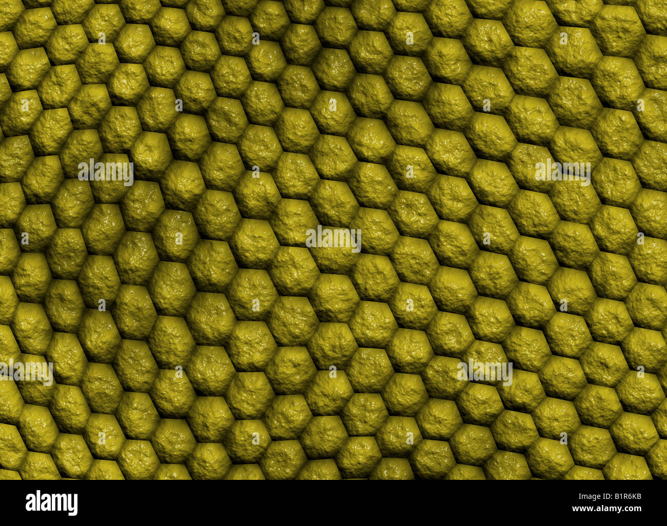 Motif de peau de reptile Banque de photographies et d’images à haute ...