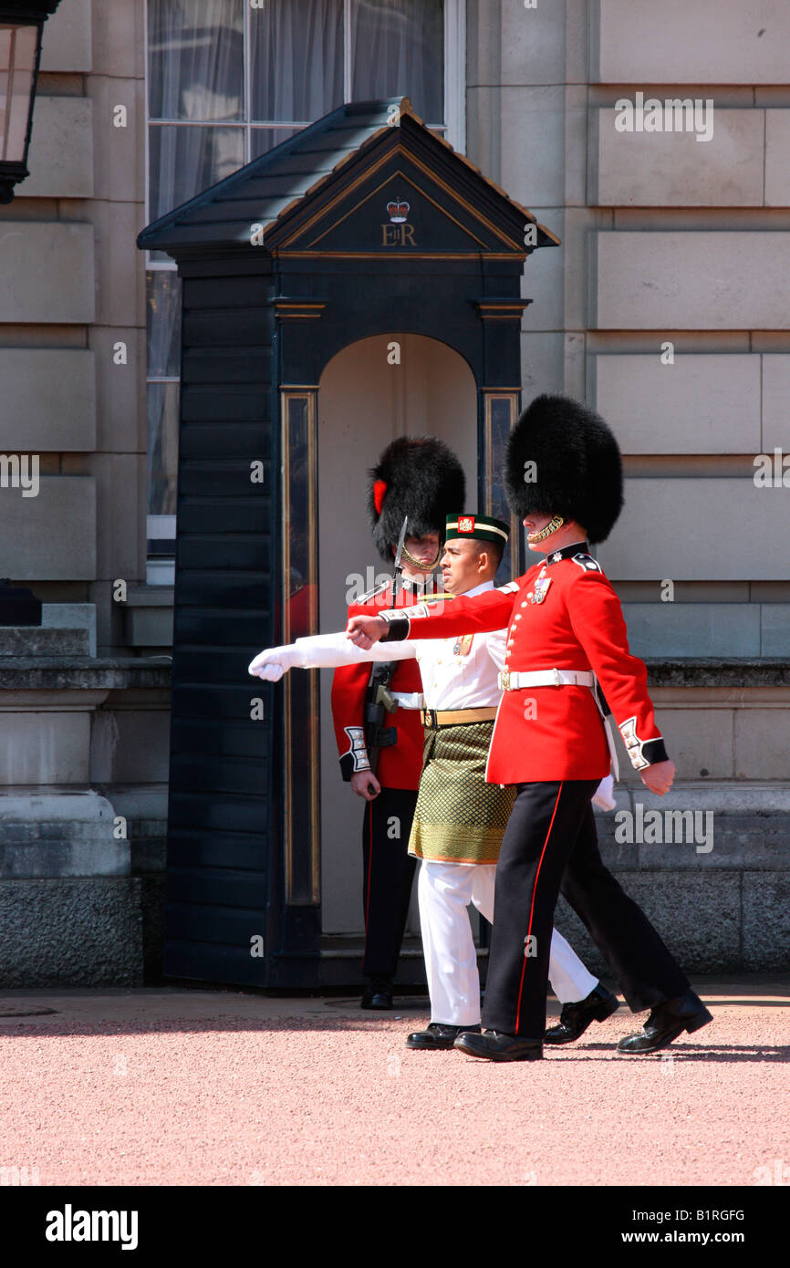 Les sentinelles Banque de photographies et d’images à haute résolution ...