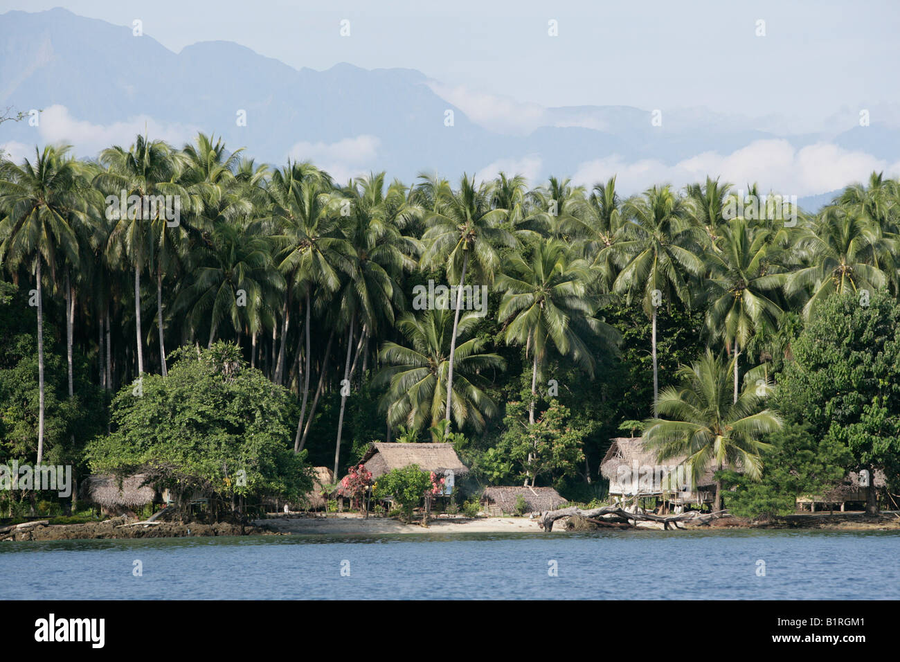 Papua new guinea melanesia landscape Banque de photographies et d ...