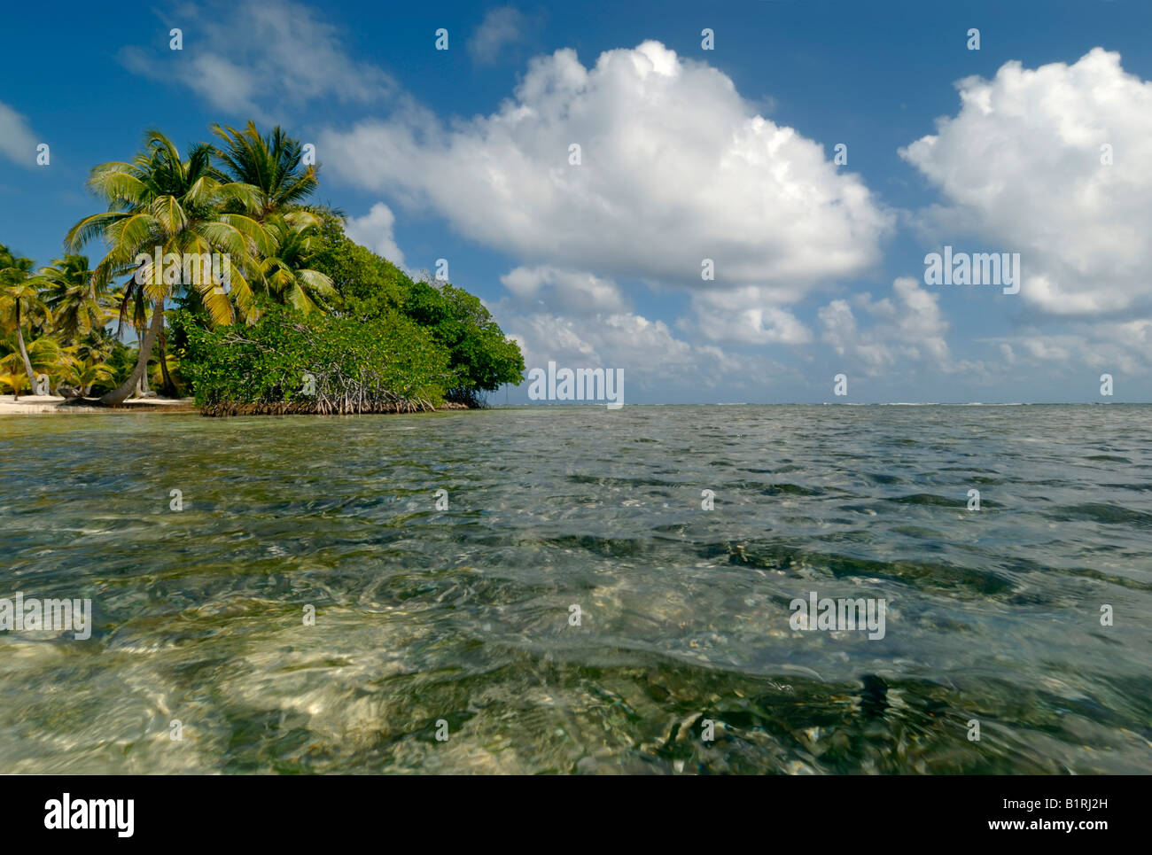 L'eau du sud de l'île de corail, Caye, Belize Barrier Reef, Caraïbes ...