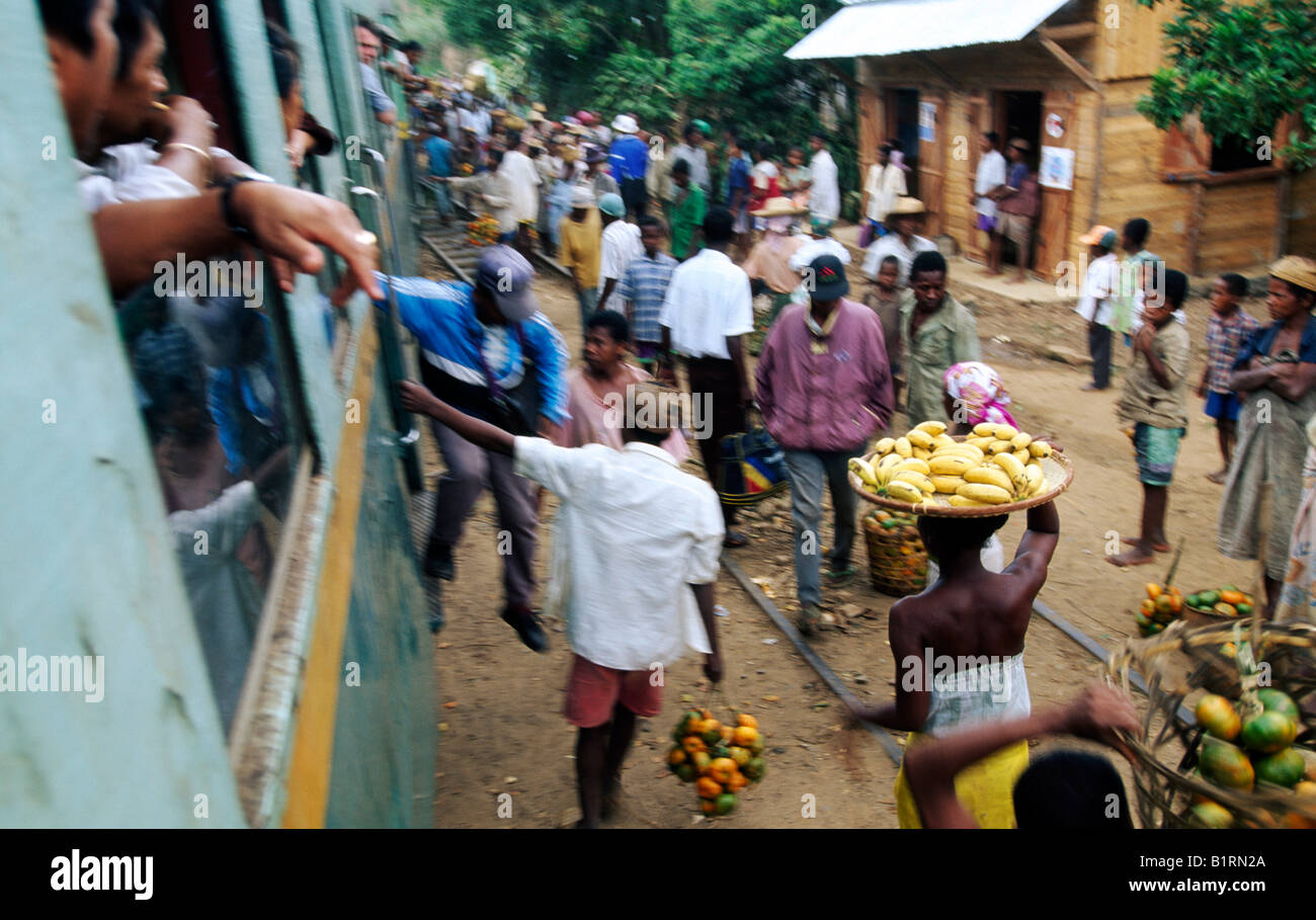 Railroad madagascar Banque de photographies et d’images à haute ...