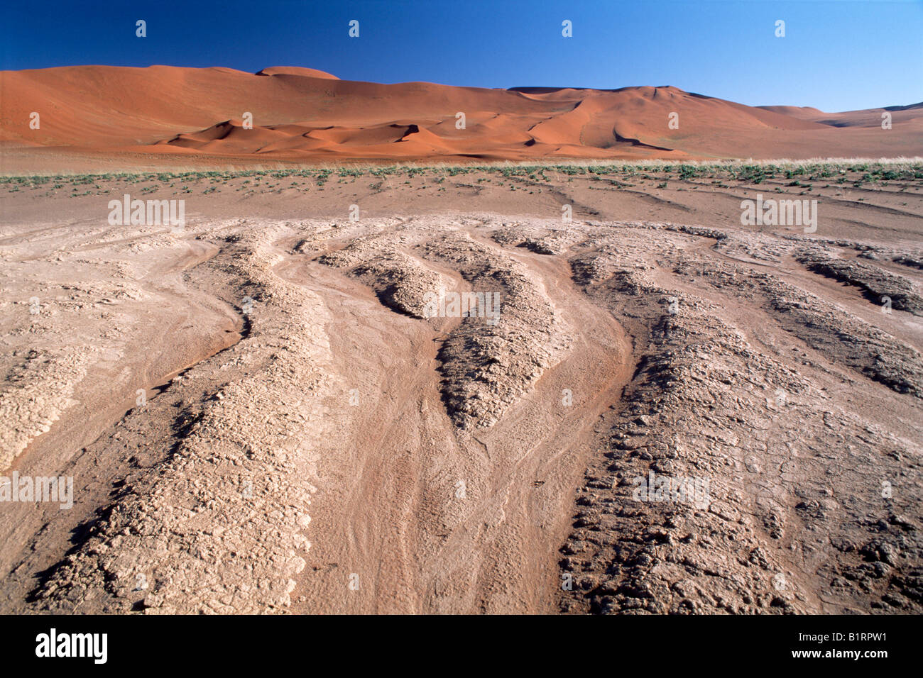 Des dunes de sable au namib Banque de photographies et d’images à haute ...