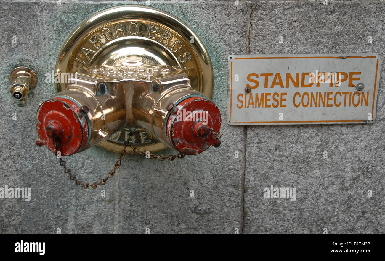 Connexion siamoise Banque de photographies et d’images à haute ...