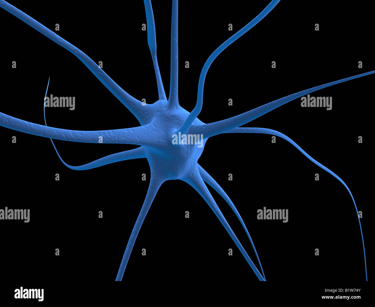 Axone des cellules nerveuses Banque de photographies et d’images à ...