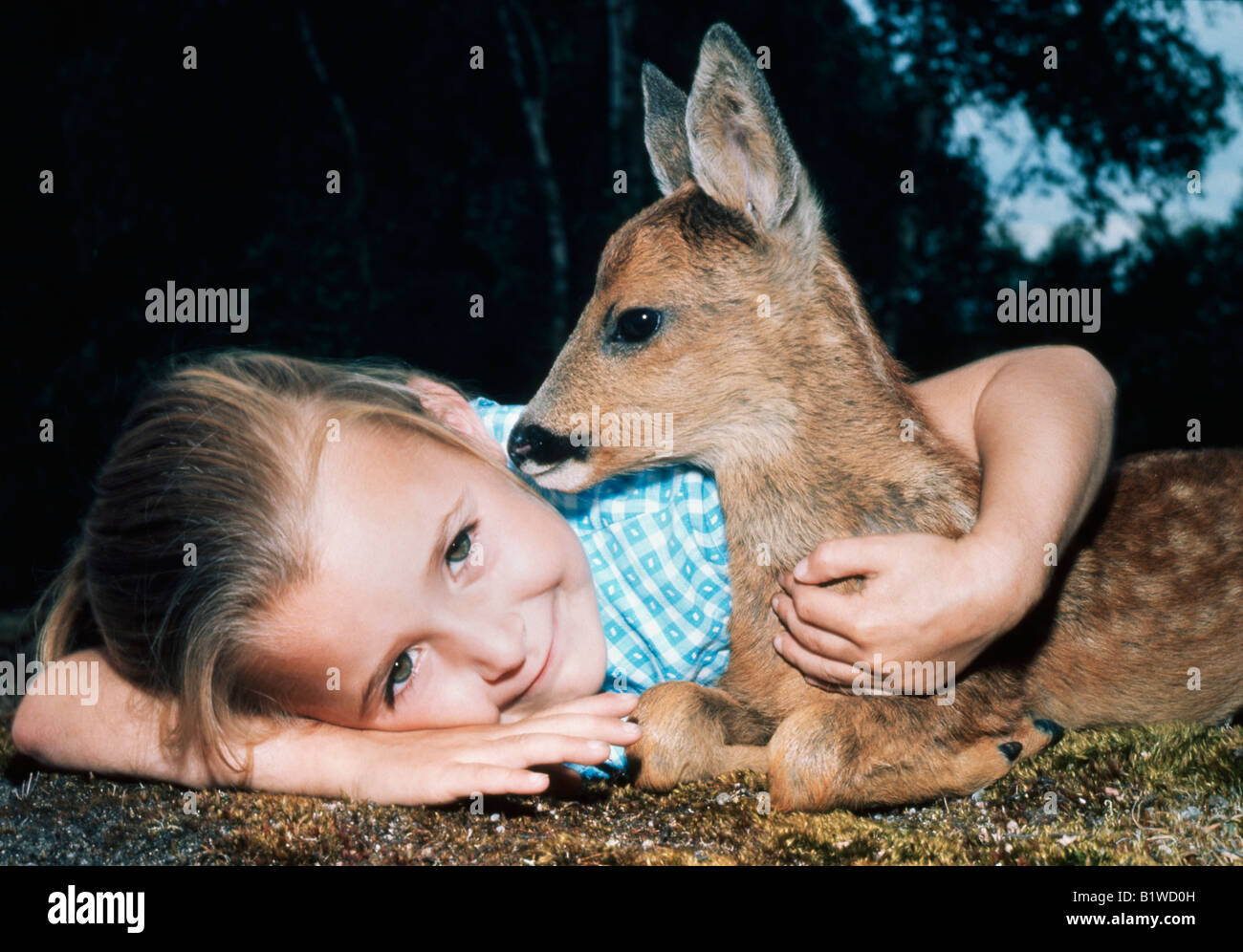 Jeune enfant avec un faon de chevreuil jeune avec un faon de virginie ...