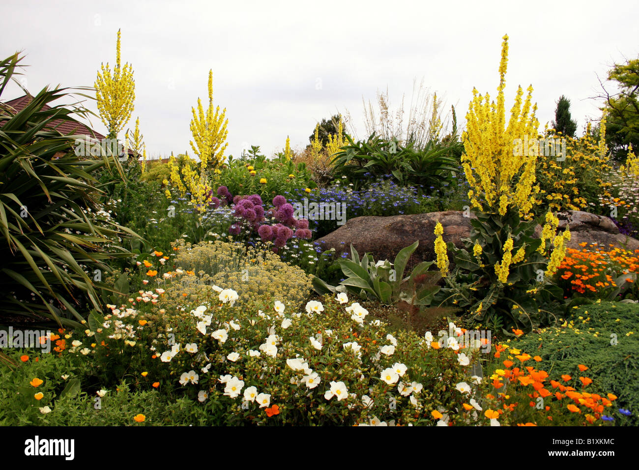 Jardin sec rhs hyde hall Banque de photographies et d’images à haute ...