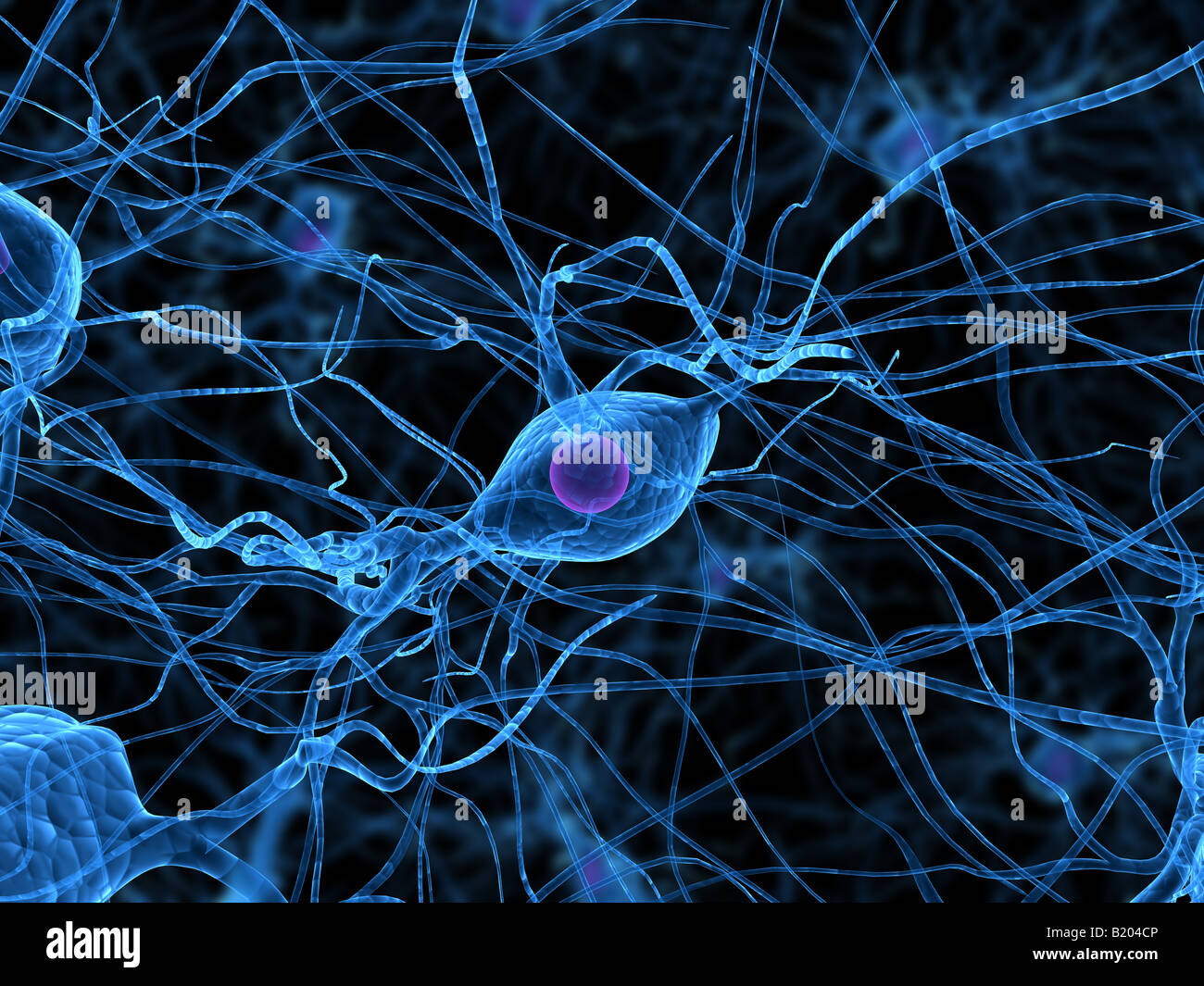 Les cellules nerveuses et la synapse Banque de photographies et d ...