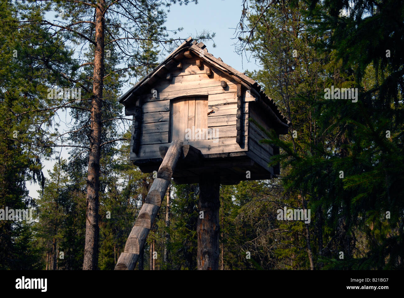 Un Sami traditionnels store house, construit avec une échelle amovible ...