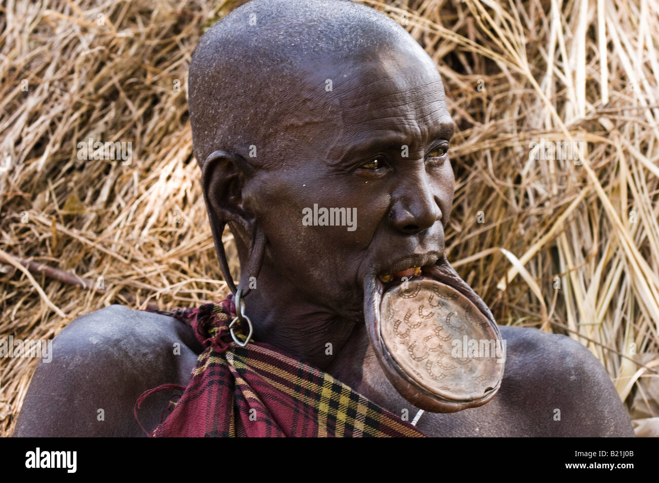 Plaque labiale Banque de photographies et d’images à haute résolution ...