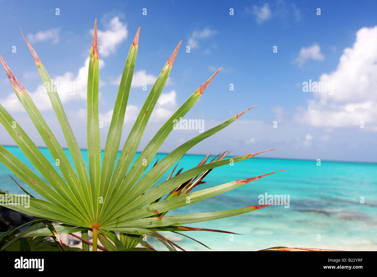 Cayes de sable Banque de photographies et d’images à haute résolution ...