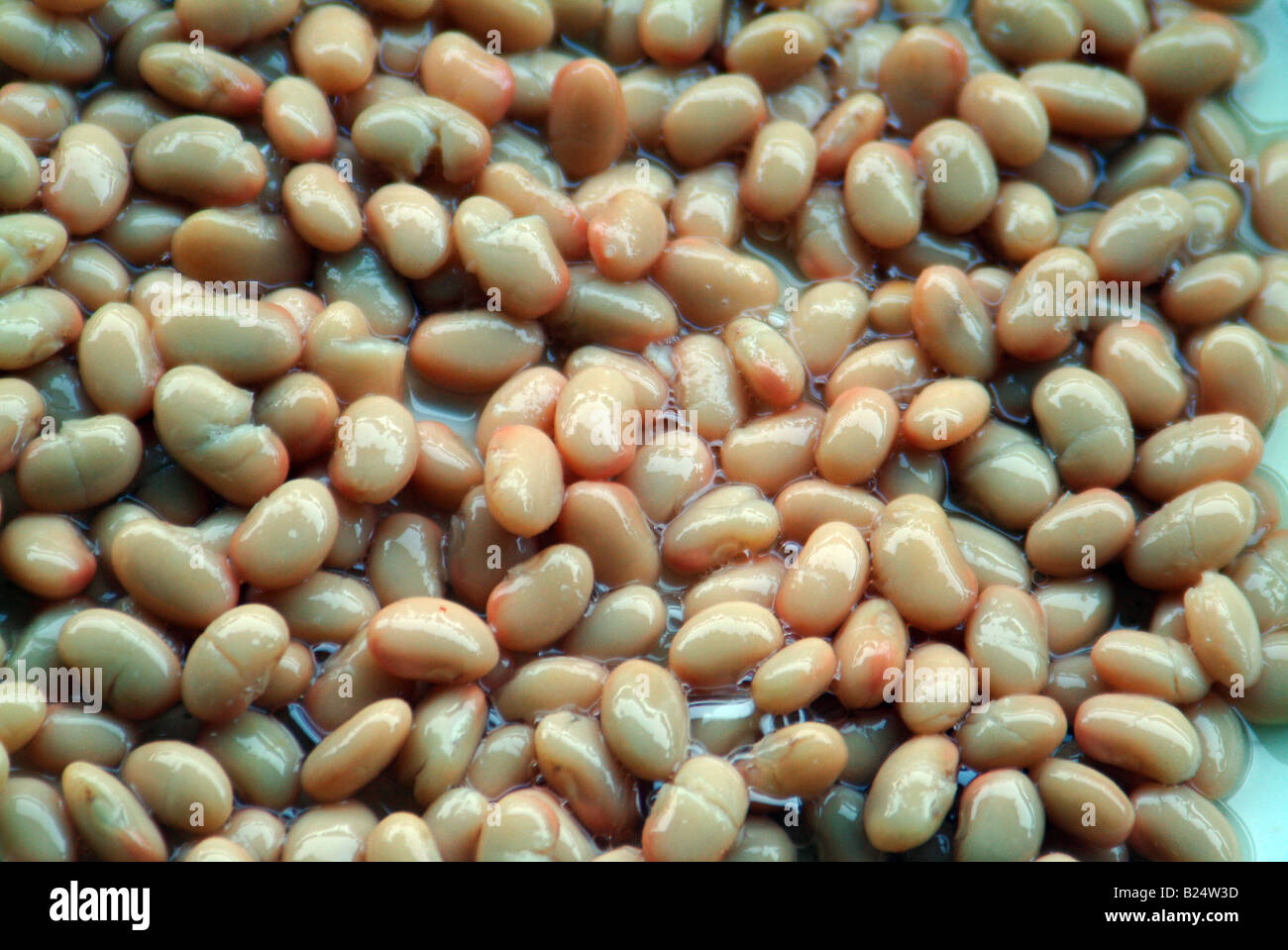 Haricot de lima en forme Banque de photographies et d’images à haute ...