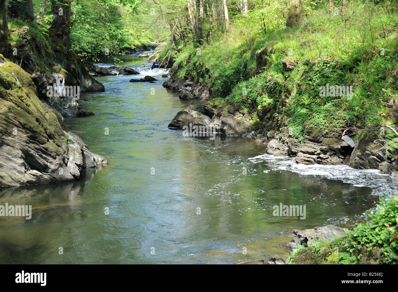 Afon cothi Banque de photographies et d’images à haute résolution - Alamy