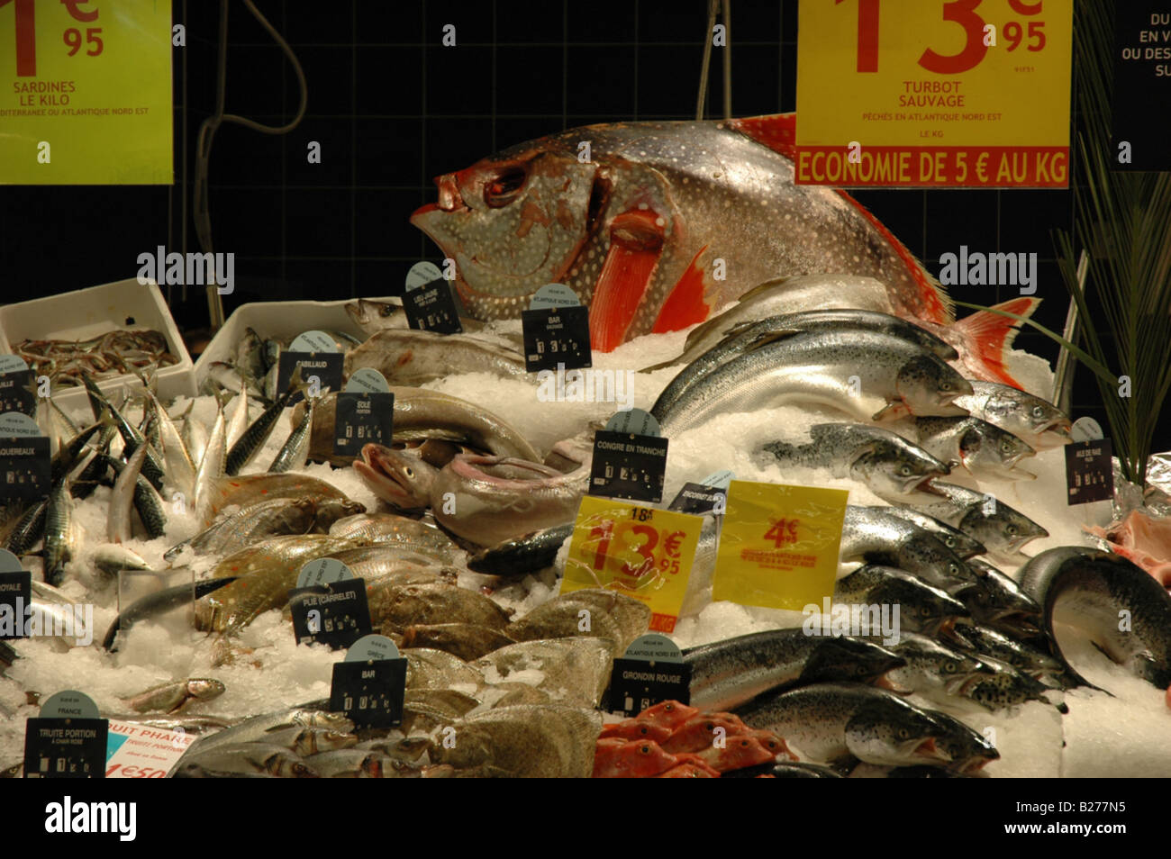 Poisson supermarché francais france Banque de photographies et d’images ...