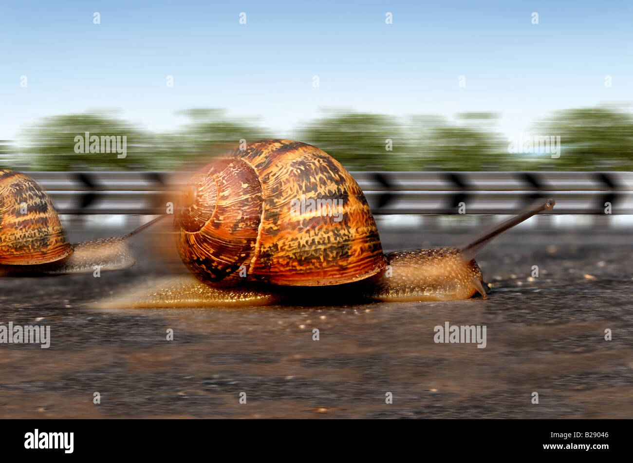 Humour de course de voiture Banque de photographies et d’images à haute ...