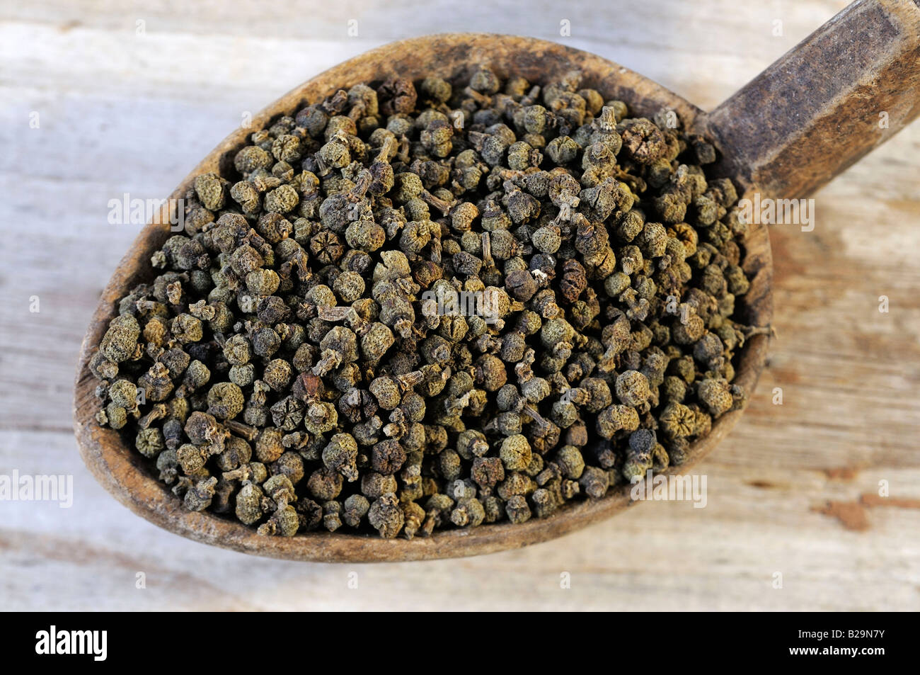 Evodiae fructus Banque de photographies et d’images à haute résolution ...