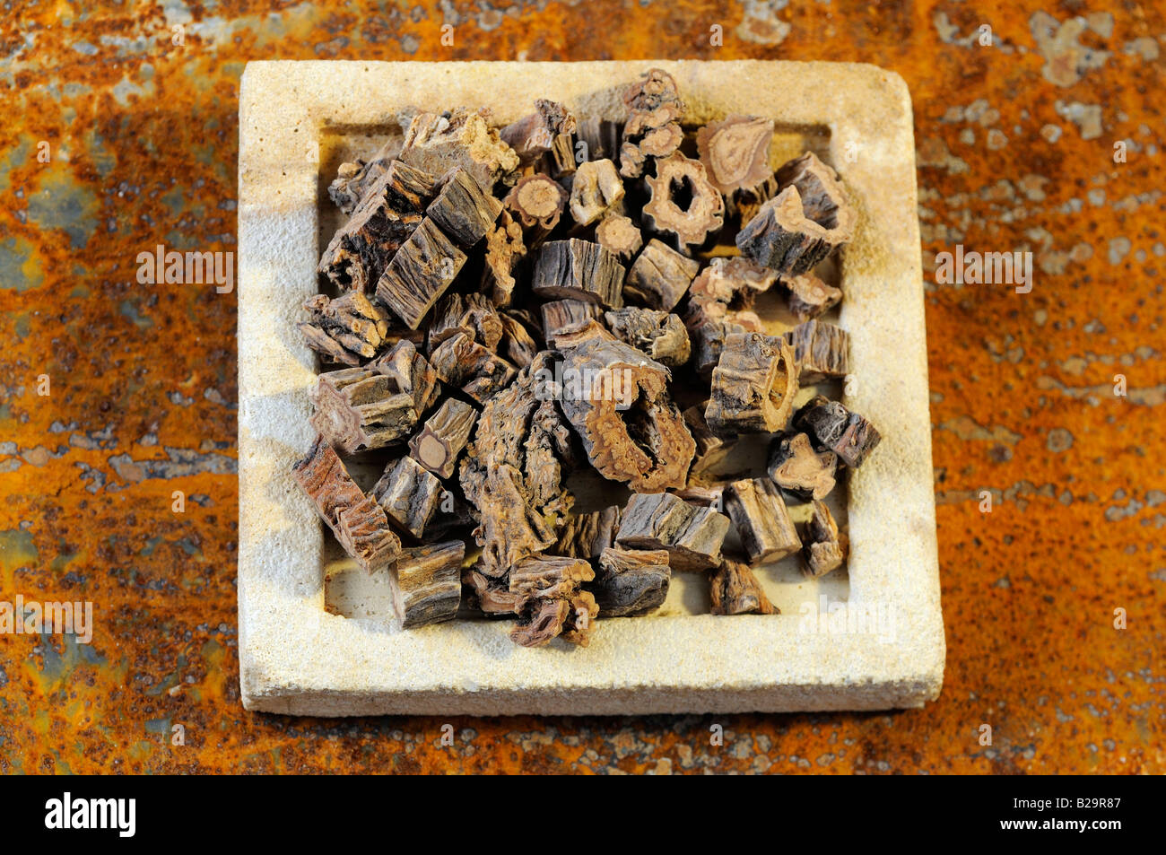 Chinese gentian Banque de photographies et d’images à haute résolution ...