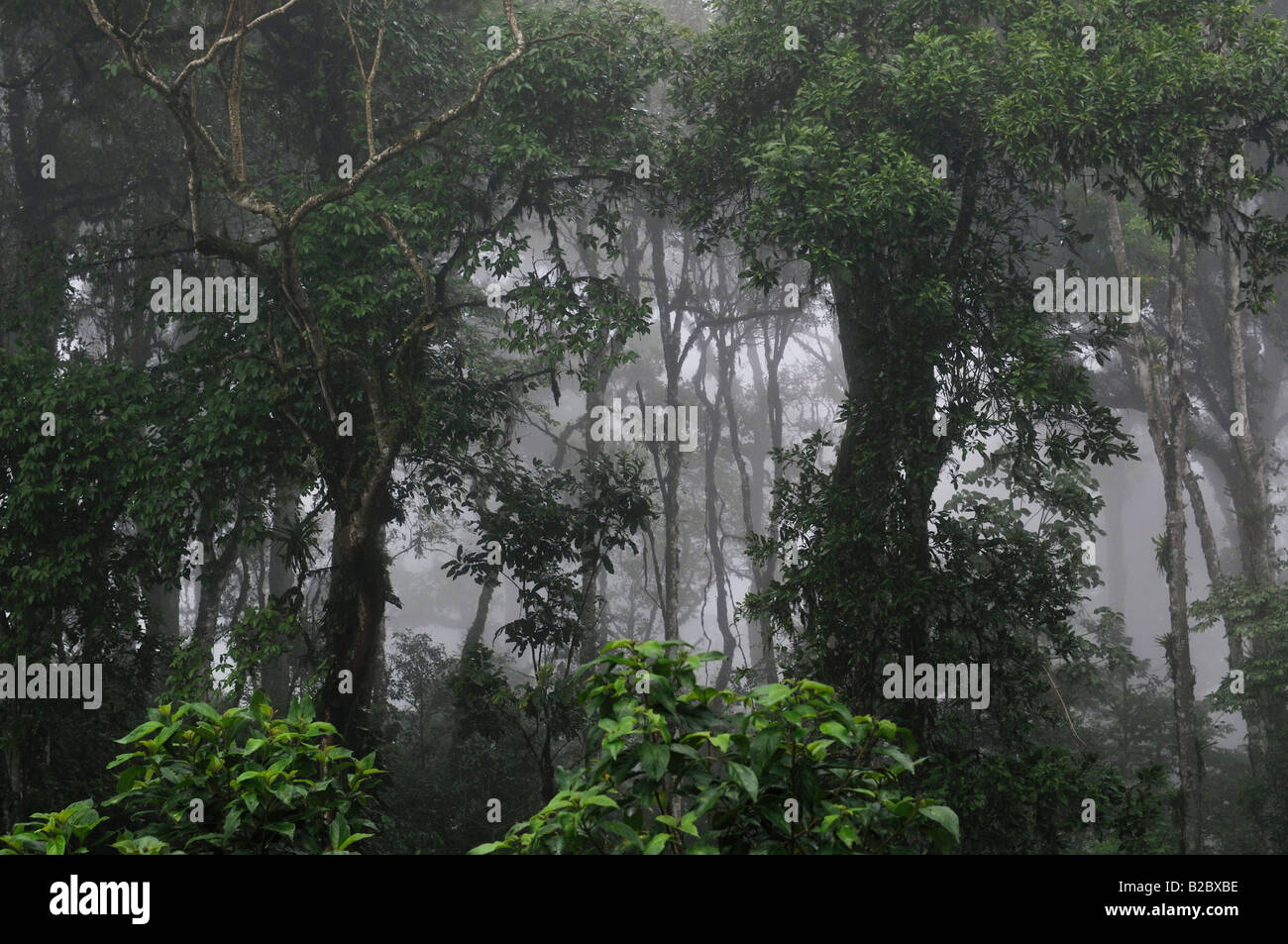 Miraflor nature reserve Banque de photographies et d’images à haute ...