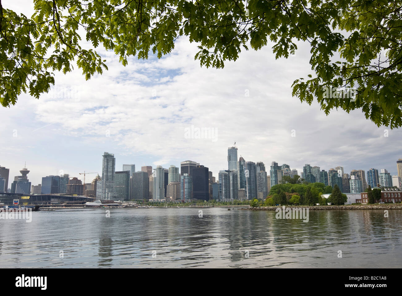 Les immeubles de grande hauteur sur Coral Harbour avec Shaw Tower ...