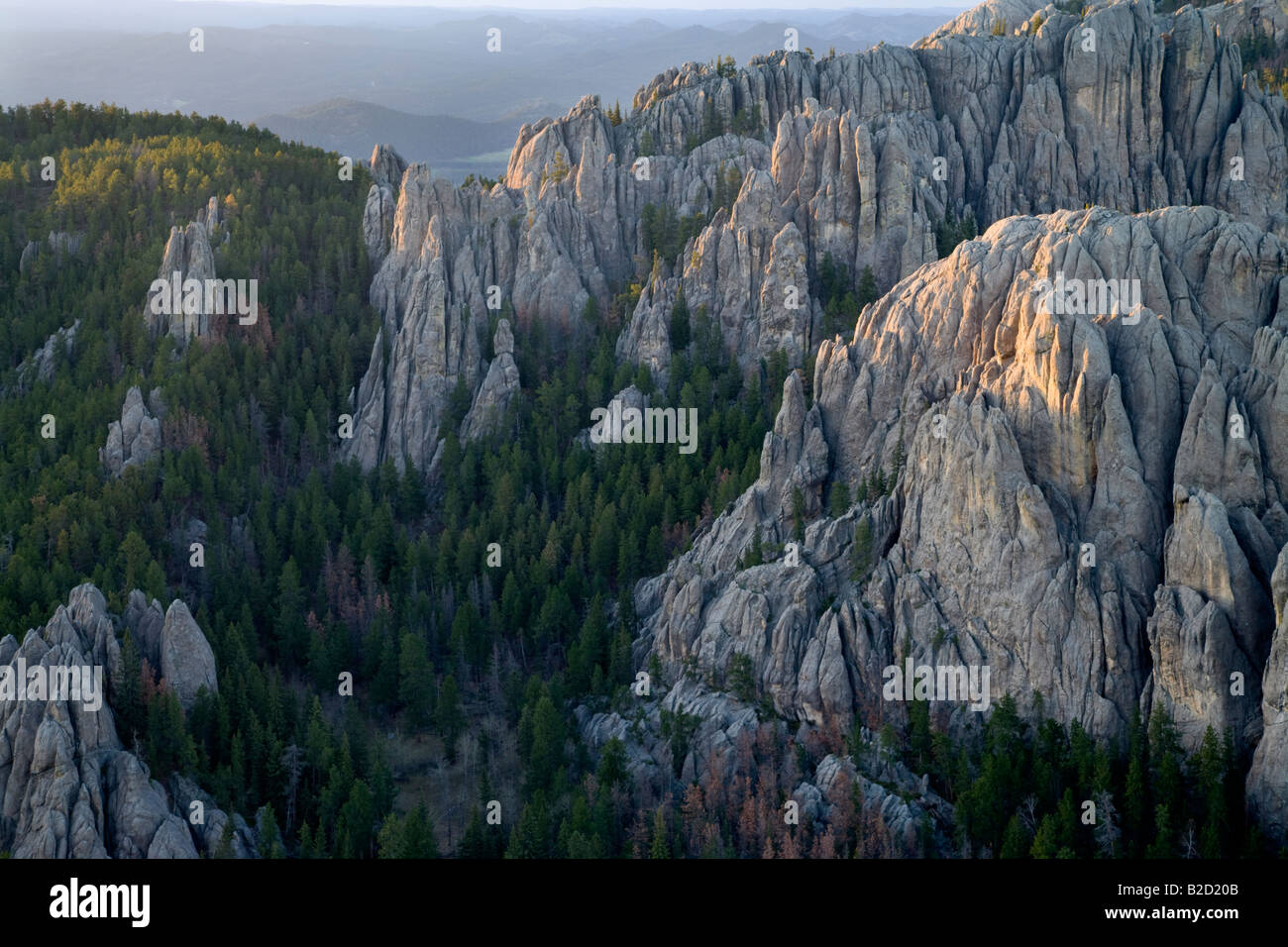 Affleurements de granit de Little Devils Tower, Custer State Park et ...