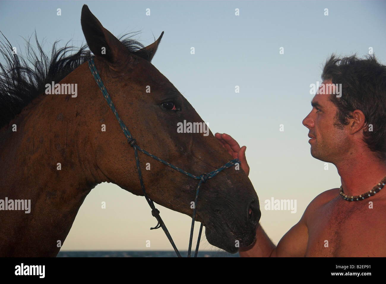 Homme avec un cheval Banque de photographies et d’images à haute ...