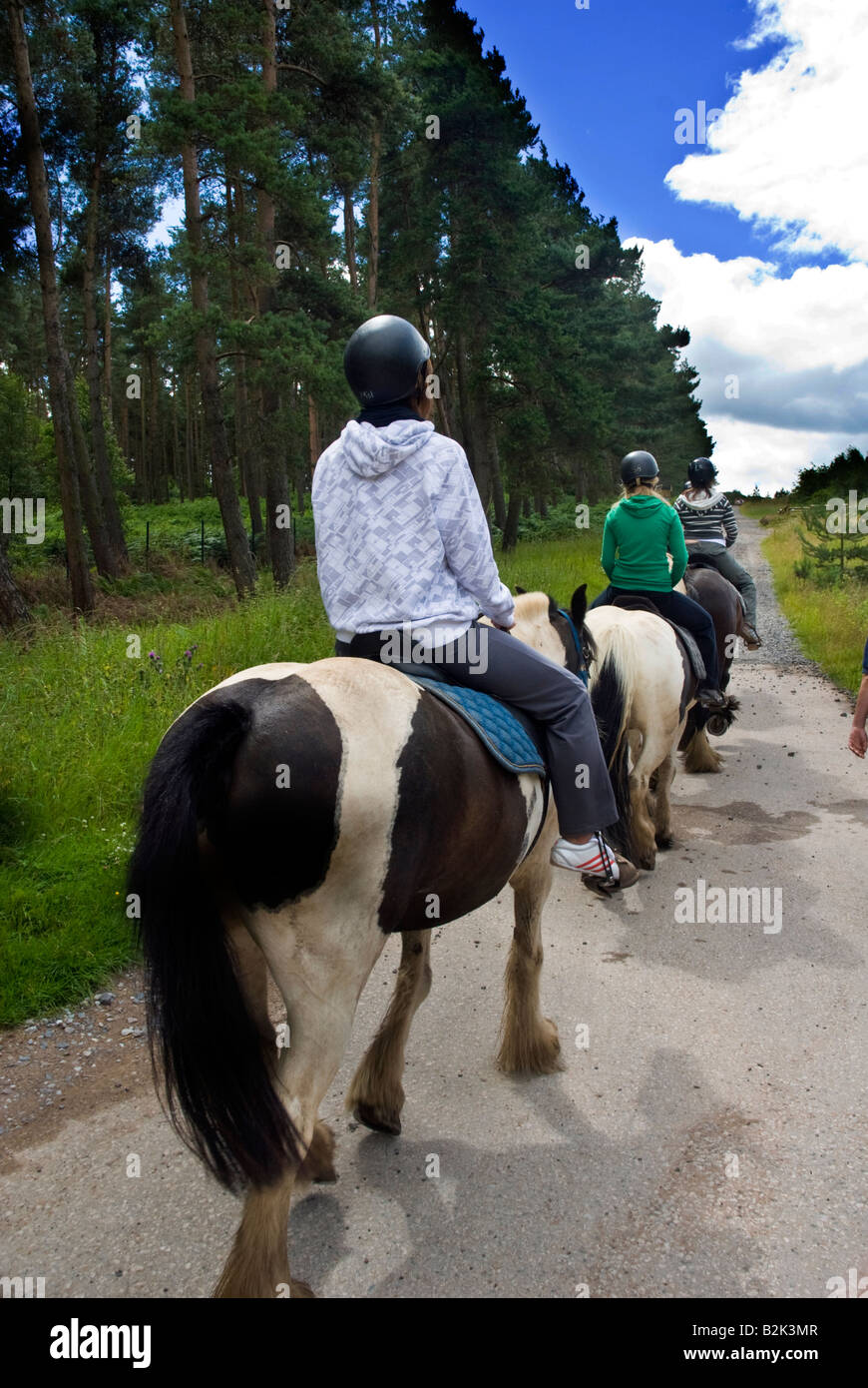 Trekking à poney Banque de photographies et d’images à haute résolution ...