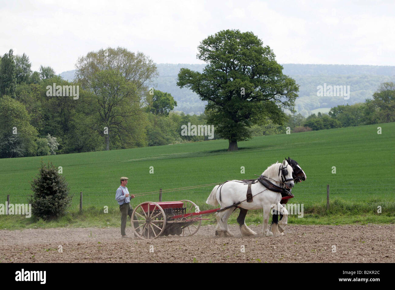 Charrue cheval labour labour Banque de photographies et d’images à ...