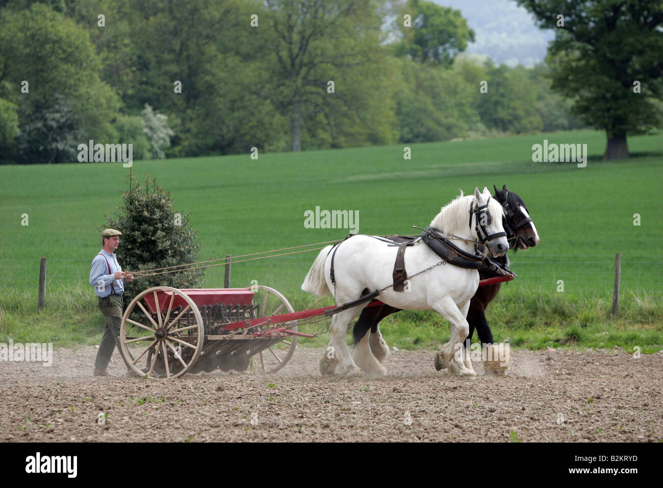 Horse Plough Banque d'image et photos - Alamy