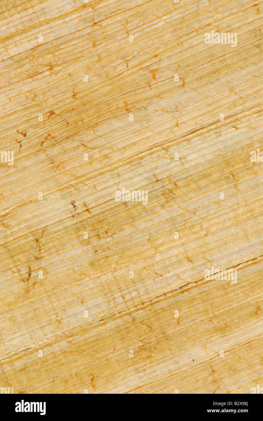 Papyrus background texture Banque de photographies et d’images à haute ...