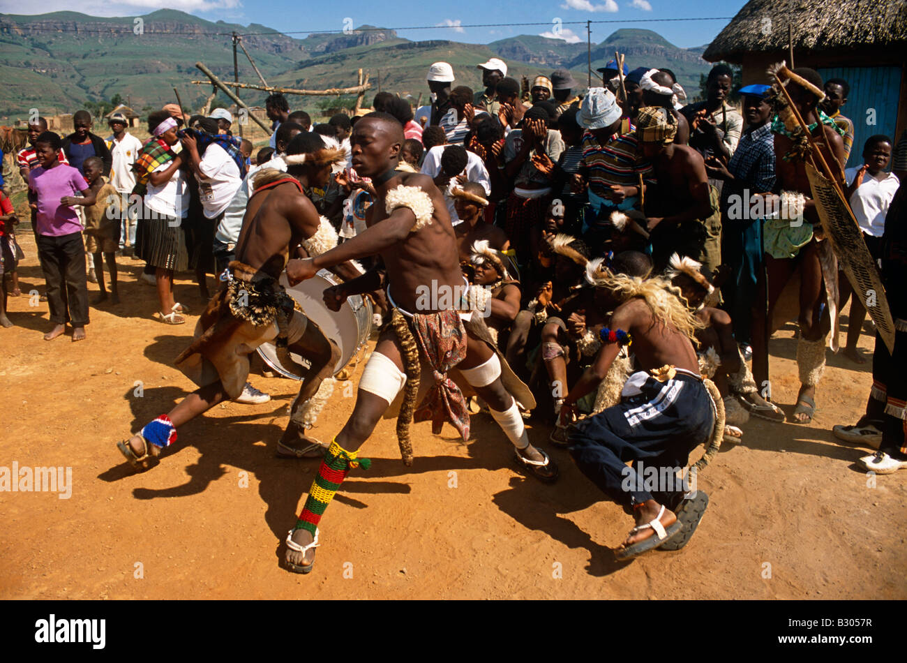 Zulu dancing in south africa Banque de photographies et d’images à ...