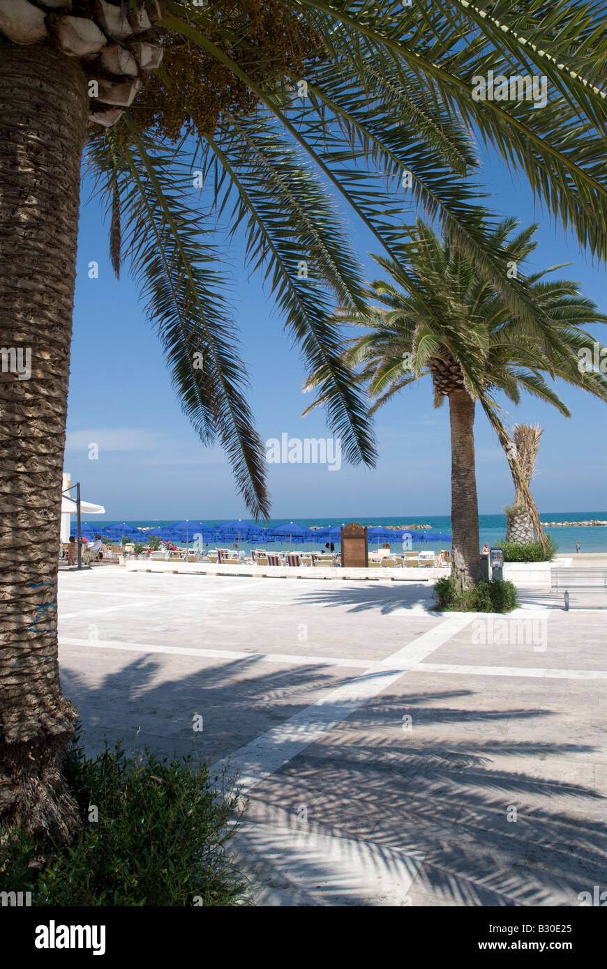 Palmiers palmiers front de mer front de mer Banque de photographies et ...