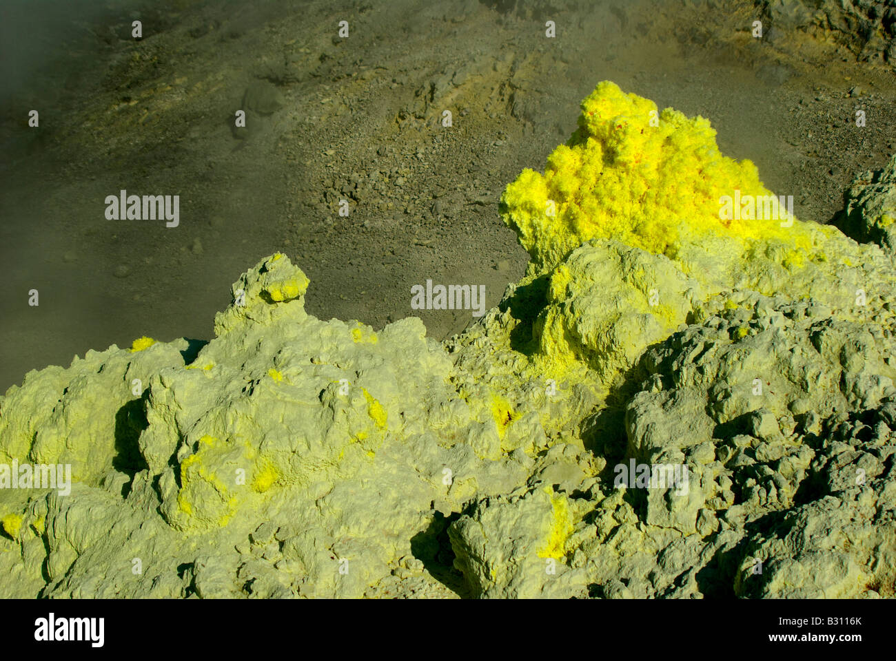 Champ thermique fumerolle à propos de volcano Mendeleïev, Kunashir Île ...