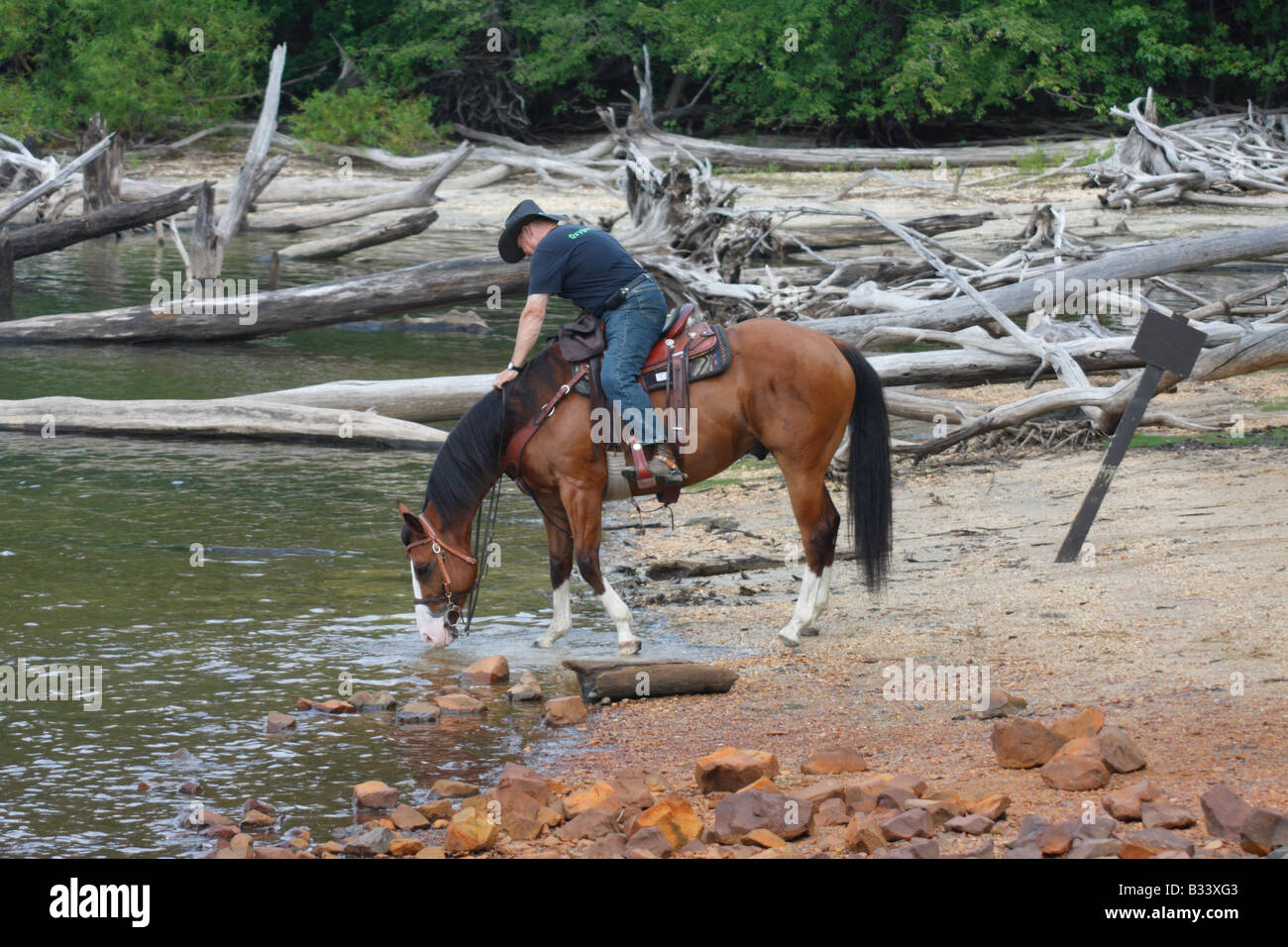 Cheval lac eau Banque de photographies et d’images à haute résolution ...